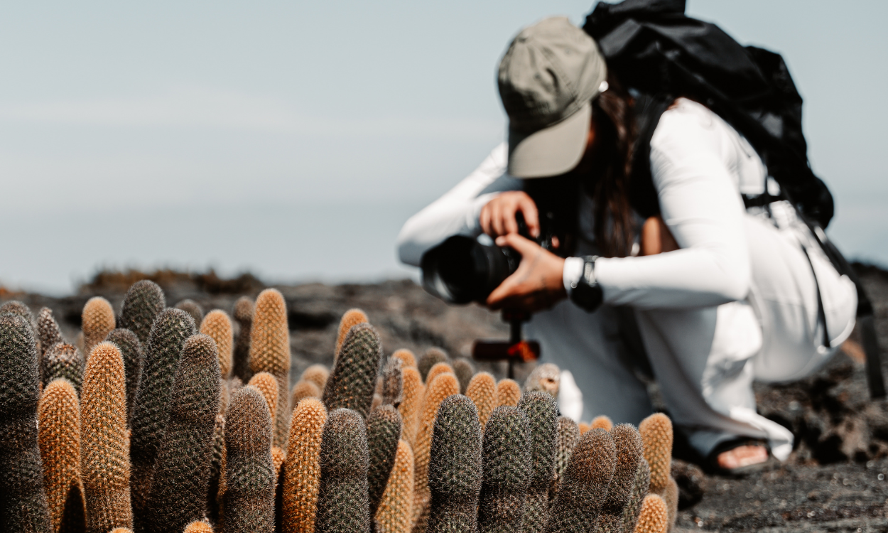 Ecoventura presents its 2026 photography expeditions