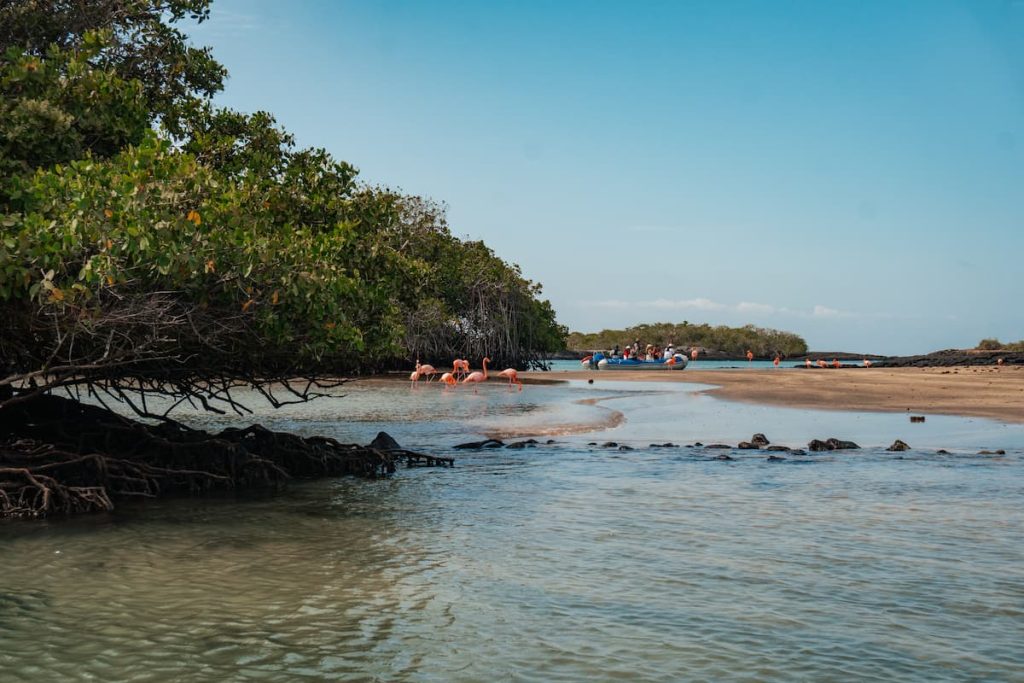 "Eden": The Story That Inspired Ron Howard’s Movie